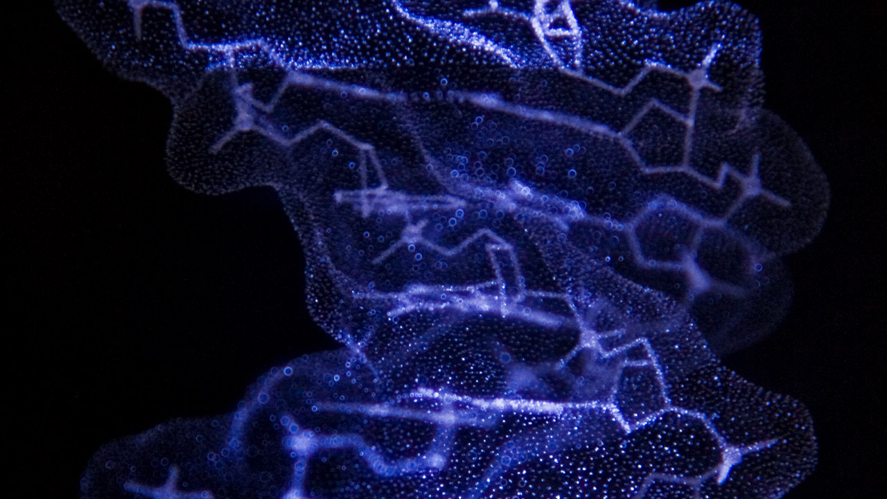 Automated Magnetic Bead Based Extraction - CONGEN