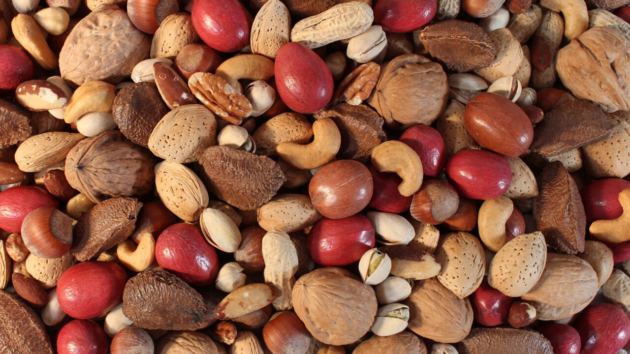 Food Analysis - CONGEN