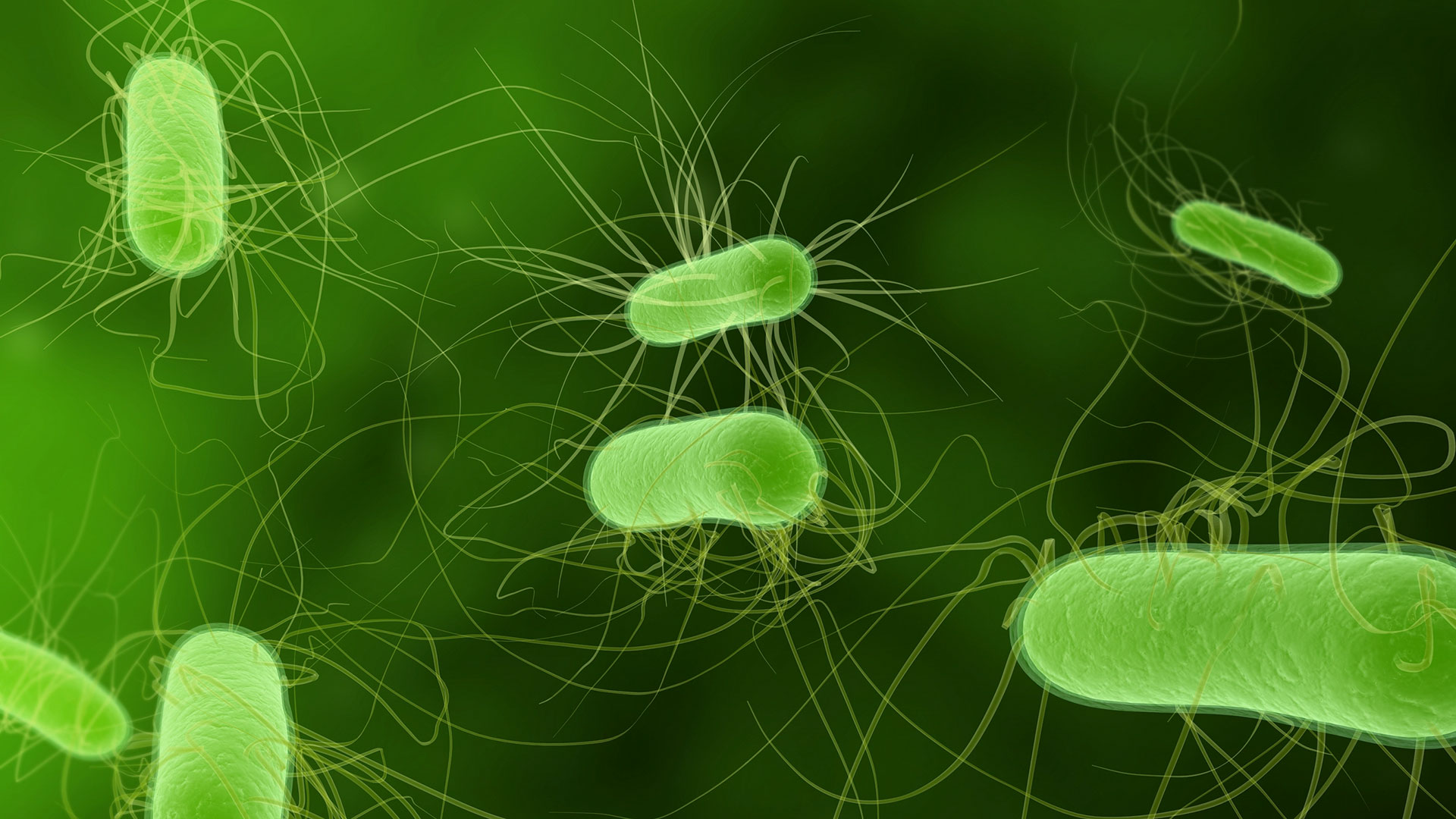 Food Microbiology - CONGEN