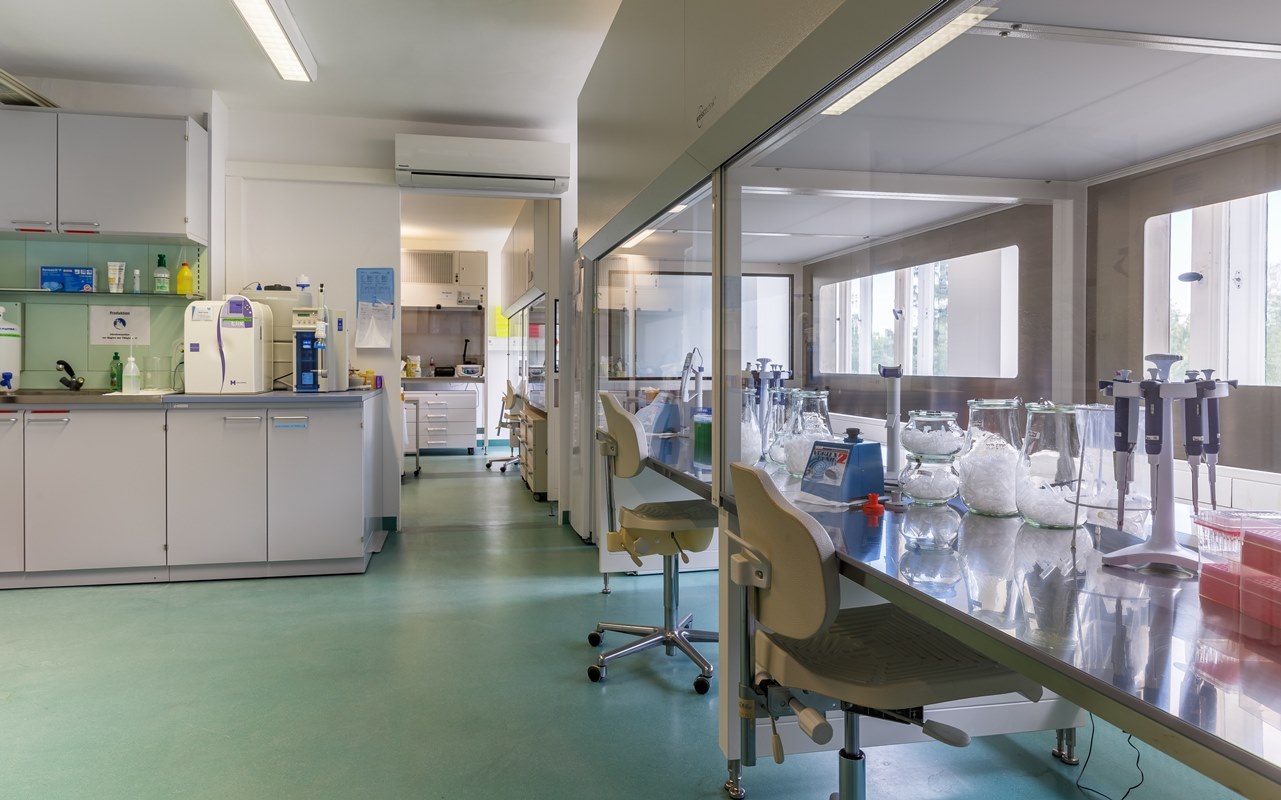 Quality Standards - CONGEN